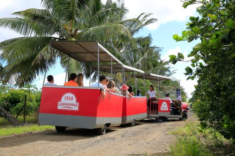 The Domaine De Labourdonnais - Mauritius